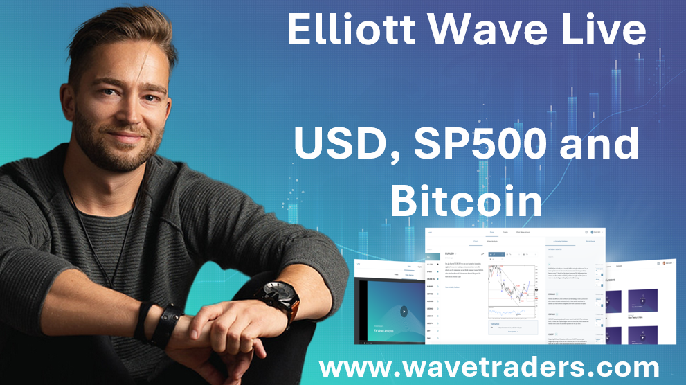 Elliott Wave: USD, Stocks, and Crypto Recovery Following Trump's ...
